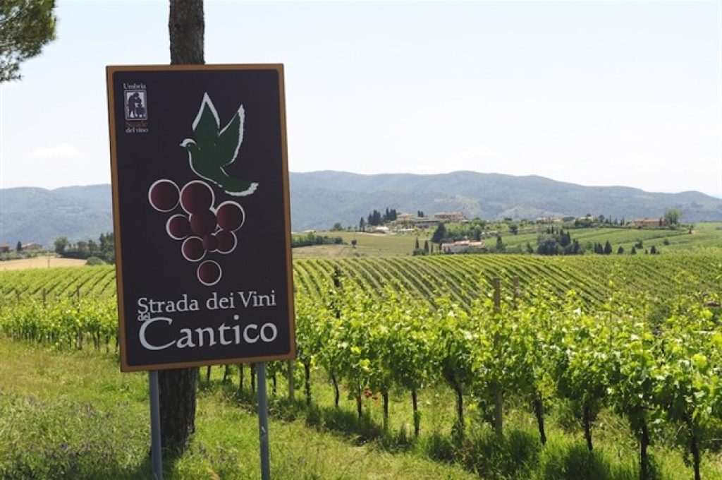 La Strada dei Vini del Cantico, alla Fiera di Rimini, raddoppia l ...